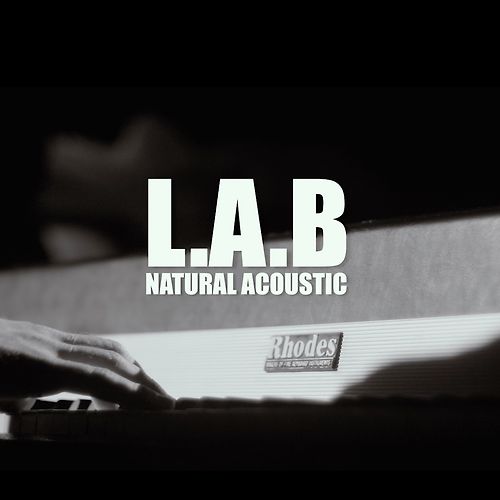L.A.B Release Acoustic Video For 'Natural' • Loop Recordings Aot(ear)oa